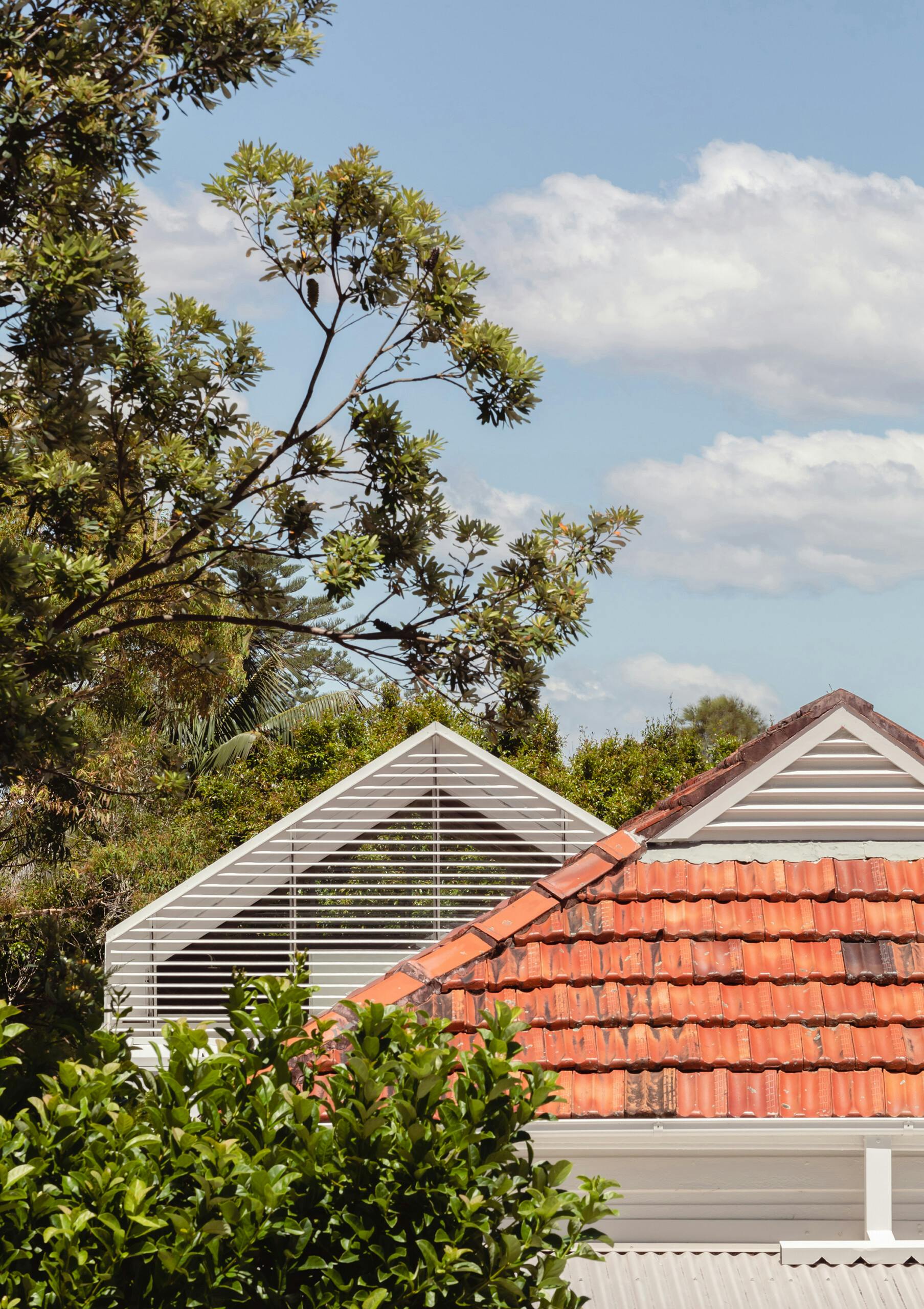 Light House, Manly by James Garvan Architecture